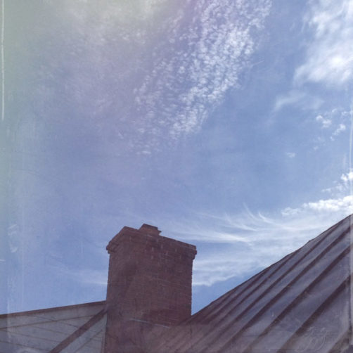 everywhen | wild simplicity