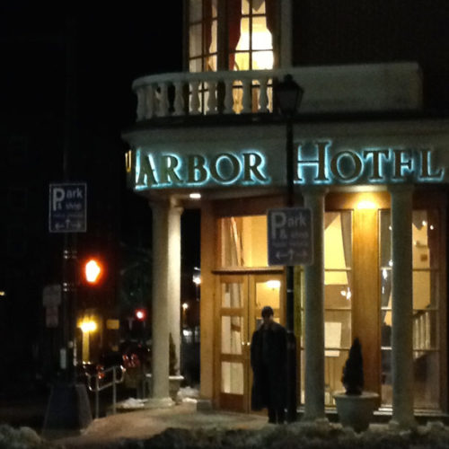 everywhen | wild simplicity