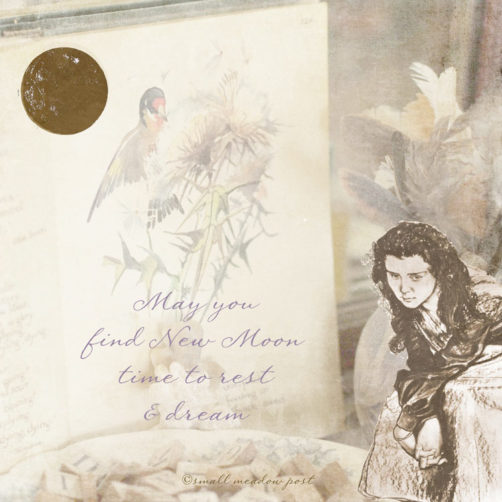 new moon note… - wild simplicity